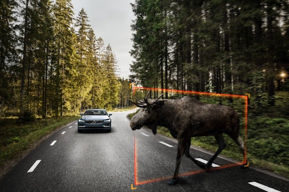 Electric Volvos are a safe bet | Sutton Coldfield Life